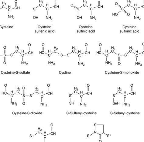 Common Modifications Of Cysteine Confirmed Or Postulated To Occur In