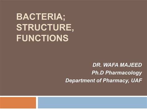Bacteria Structure Functions Pptx