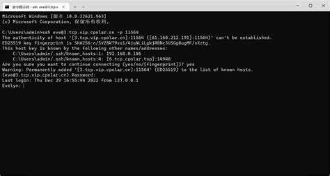 Windows电脑异地ssh远程连接苹果macos小主机mac Mini详细教程 技术栈