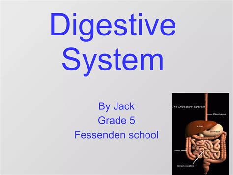 Jack Murrell Wright Digestive System Ppt