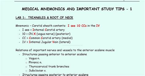 Thyrocervical Trunk Mnemonic The Head And Neck Springerlink