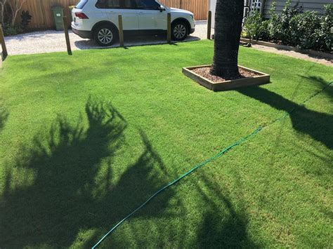 Wintergreen Couch Grass Alc Turf