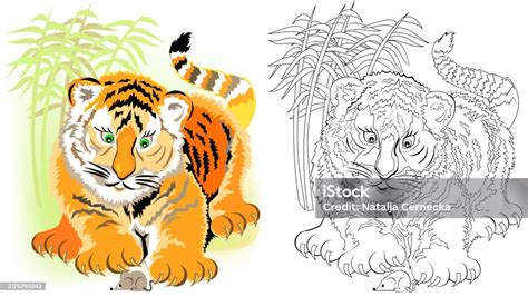 채색을 위한 다채롭고 흑백 패턴 귀여운 호랑이의 그림입니다 어린이와 성인을 위한 워크시트 벡터 이미지입니다 어린이 활동 시트