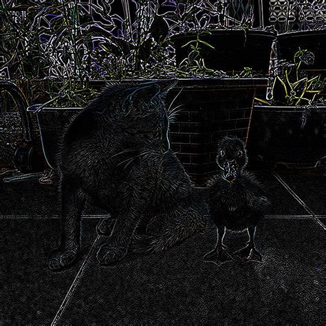 Simple Edge Detection Shader Using A Kernel Agate Dragon Games