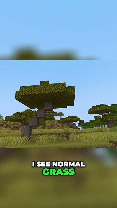 Minecraft Grass Transition Discovering Our Original Spawn Point Youtube