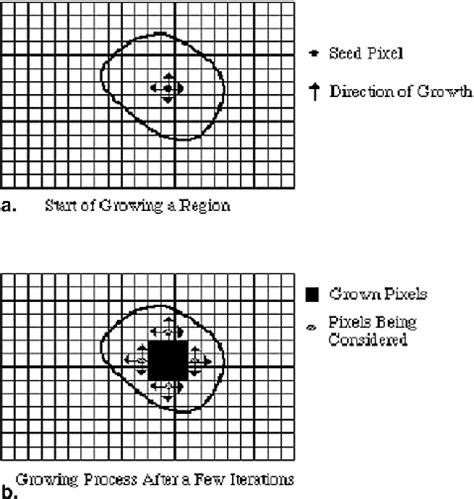 Representation Of Region Growth Download Scientific Diagram