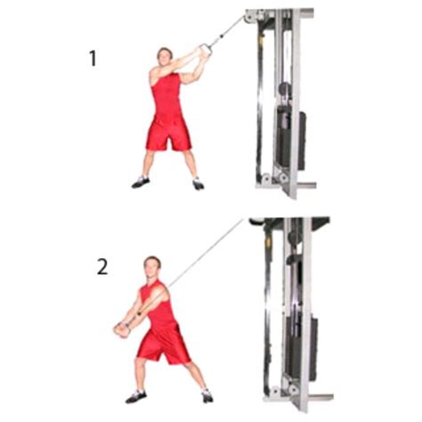 Wood Chop Exercise Machine At Laura Hefley Blog