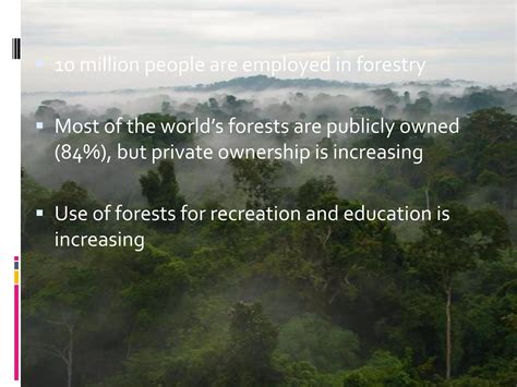 Forest Resources Ppt