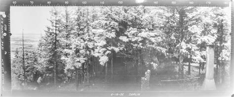Mount Walker Viewpoint Trail Map