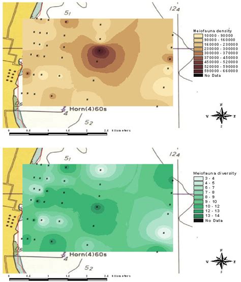 The Distribution Of Species Diversity And Abundance Of Meiofauna At