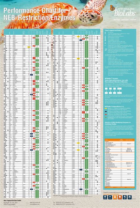 Rcutsmart Neb Puffer System New England Biolabs Gmbh