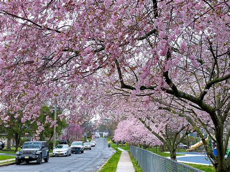 Untitled Chiung Hui Flickr Untitled Chiung Hui Flickr