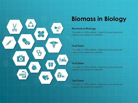 Biomass In Biology Ppt Powerpoint Presentation Layouts Vector