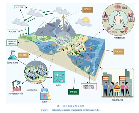 新污染物风险治理体系构建路径中国网