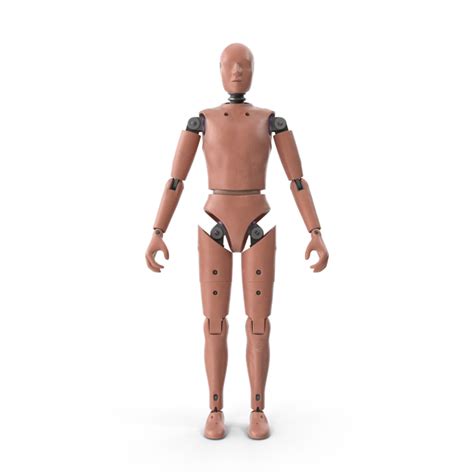 Crash Test Dummy 3d Object 2297002407 Shutterstock