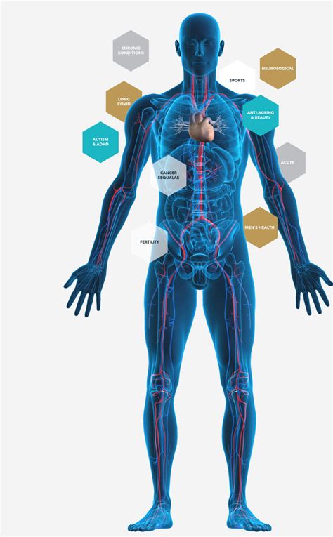 Hyperbaric Oxygen London At Artofit