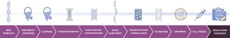 Mrna Process Development Curia