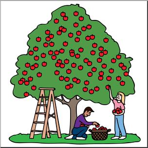 Apple Picking Clipart