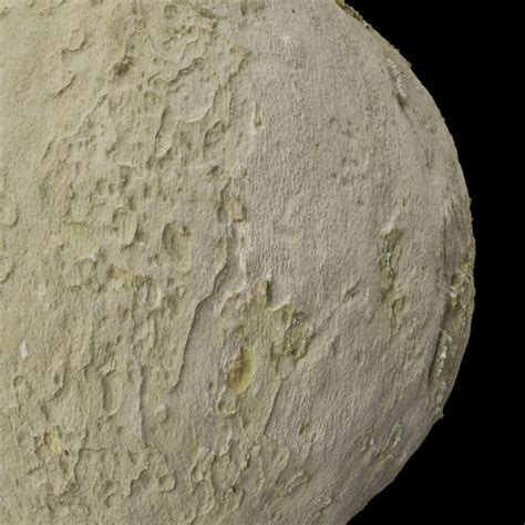 Bark Seamless Texture Patterns 2k 20482048 By Model789