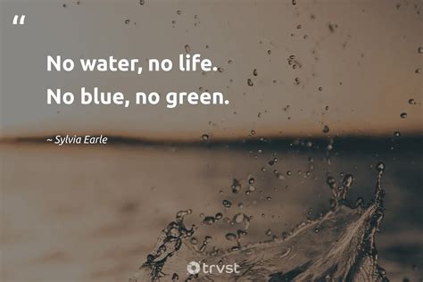 Water Evaporation Quotes 25 Best Quotes On Save Water And Water
