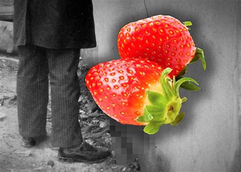 노상방뇨 지린내 딸기향 뿌리자이색 실험 나선 프랑스 도시