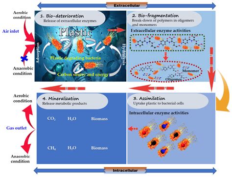 A Valuable Source Of Promising Extremophiles In Microbial Plastic