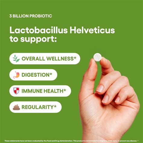 Lactobacillus Helveticus Probiotic Supplement 240 Tablets 3 Billio