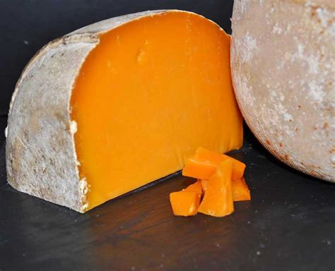 Mimolette 6 Months Monsieur ChattÉ