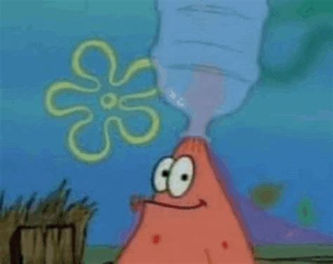 Patrick Stupid Patrick Star  Patrick Stupid Patrick Patrick Star