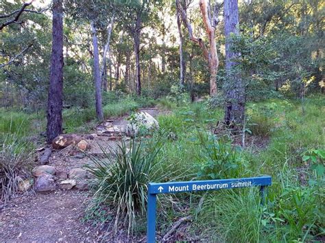 Mount Beerburrum Summit Walk Retirement On Tour