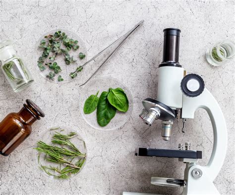 Environmental Microbiology Testing Analytical Microlabs