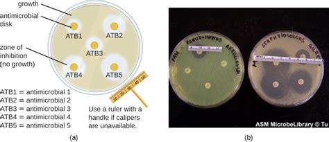 Testing Of Disinfectants Evaluation Methods Of Disinfectants