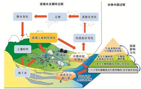 流域土地利用变化的水生态响应研究