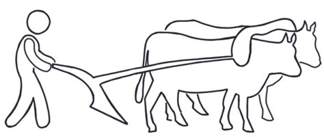 Yoke Oxen Clip Art Black And White Sketch Coloring Page