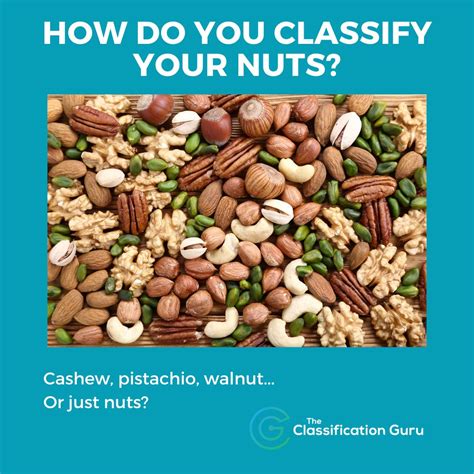 Susan Walsh On Linkedin Classification Procurement Spendmanagement Data