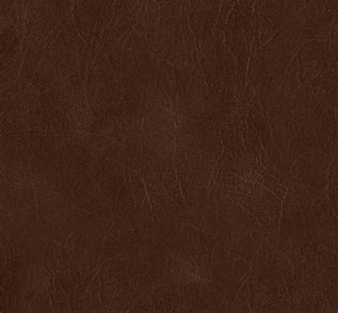 Texturing Overlap Unwrapped Texture With Transparent Image Blender Stack Exchange
