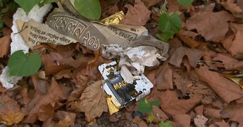 Windsor Terrace Residents Say Neighborhood Park Is Overrun With Sex