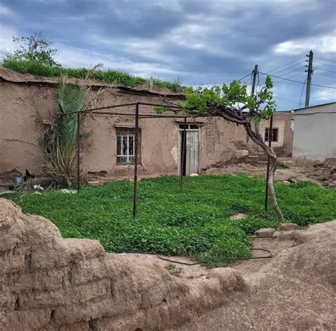 Asmaa Abdullah On Linkedin International Peace Security