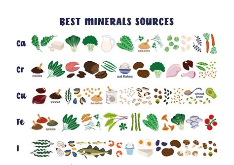 Minerals Sources Poster Nutrient Rich Food Chart Digital Download Etsy