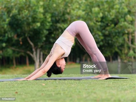 숲 배경으로 초원의 매트에 맨발로 요가를 연습 하는 중년 스포티 한 매력적인 여자 운동 스포츠웨어 바지와 상단을 입고 야외 전체 길이 30 39세에 대한 스톡 사진 및 기타