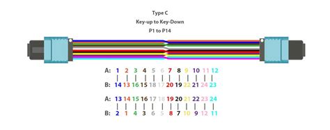 China MPO MTP Optical Fiber Patchcord Factory And Manufacturers INTCERA