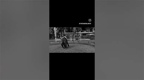 Aafreen Cover Youtube