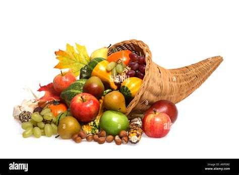 Cornucopia