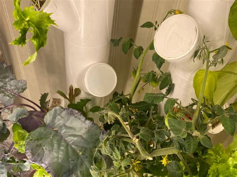 Gardyn Home Gardyn Cap By Debacktech Makerworld Download Free 3d Models