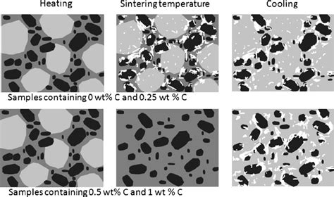 Schematic Representation Of Microstructure Development As A Function Of Download Scientific