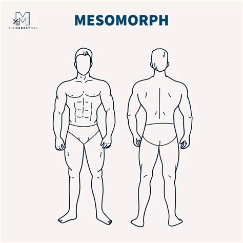 The Mesomorph Body Types Superman Potential