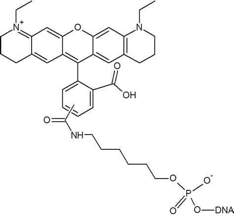 Fluorescent Or Dye Modifications Microsynth Ch