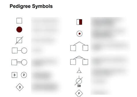 Clinical Genetics Diagram Quizlet