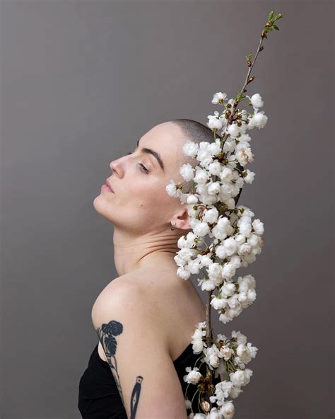 Xander M Base Models