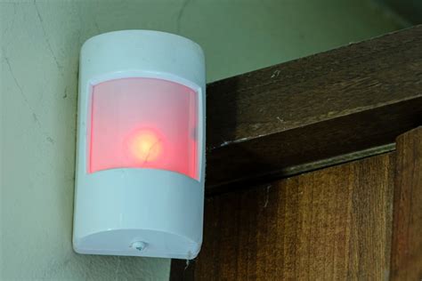 What Can Cause A Motion Sensor To False Alarm And How To Prevent It Rayzeek